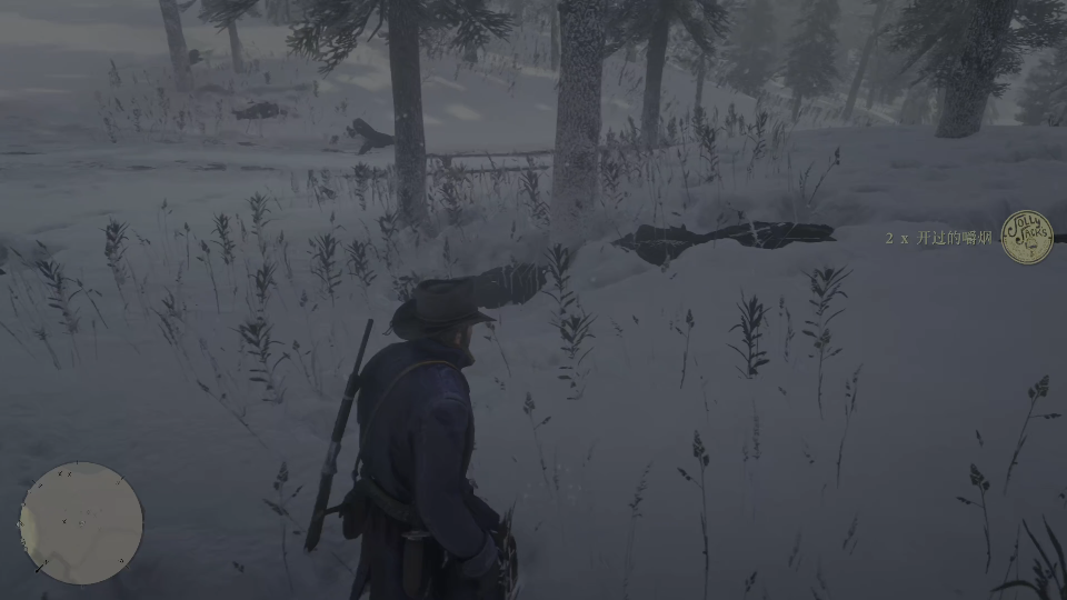 荒野大镖客2最高画质p6