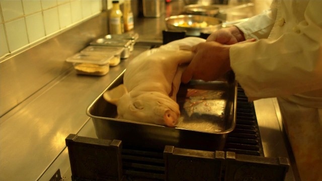 蝙蝠飞到猪圈栖息,人类吃猪肉后病毒爆发,8000万人猝死