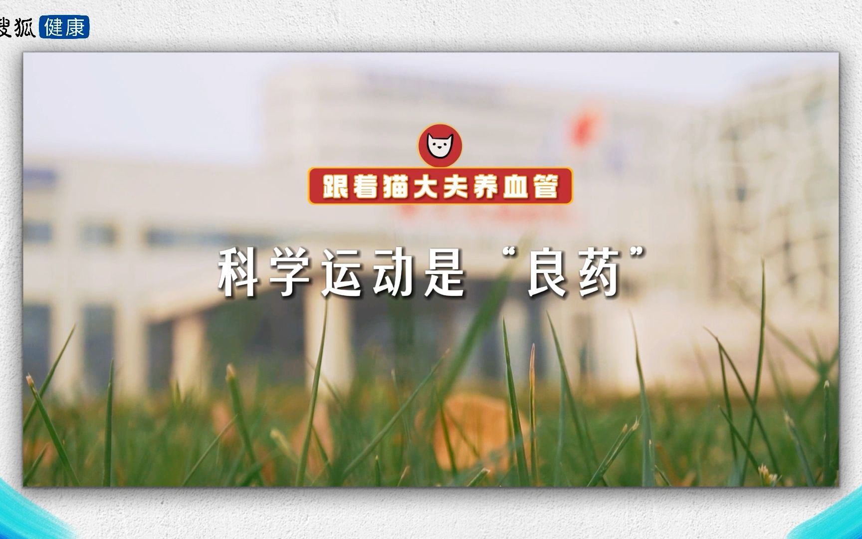 为什么运动能护血管? 常做哪些运动能预防脑卒中?【猫大夫医学科普】