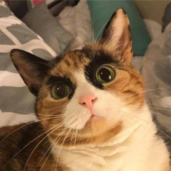 慢摇我心 