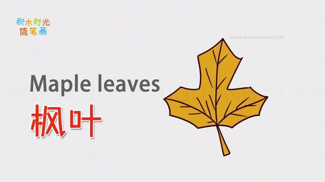 亲子英语简笔画,画枫叶简笔画,学画画同时学英语单词
