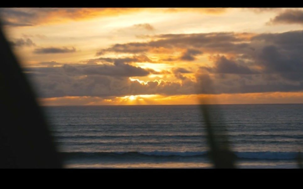 ...DJI大疆Phantom 4 Lumix Gh4 卡点 节奏舒适 画质惊人 动物 树林 水下