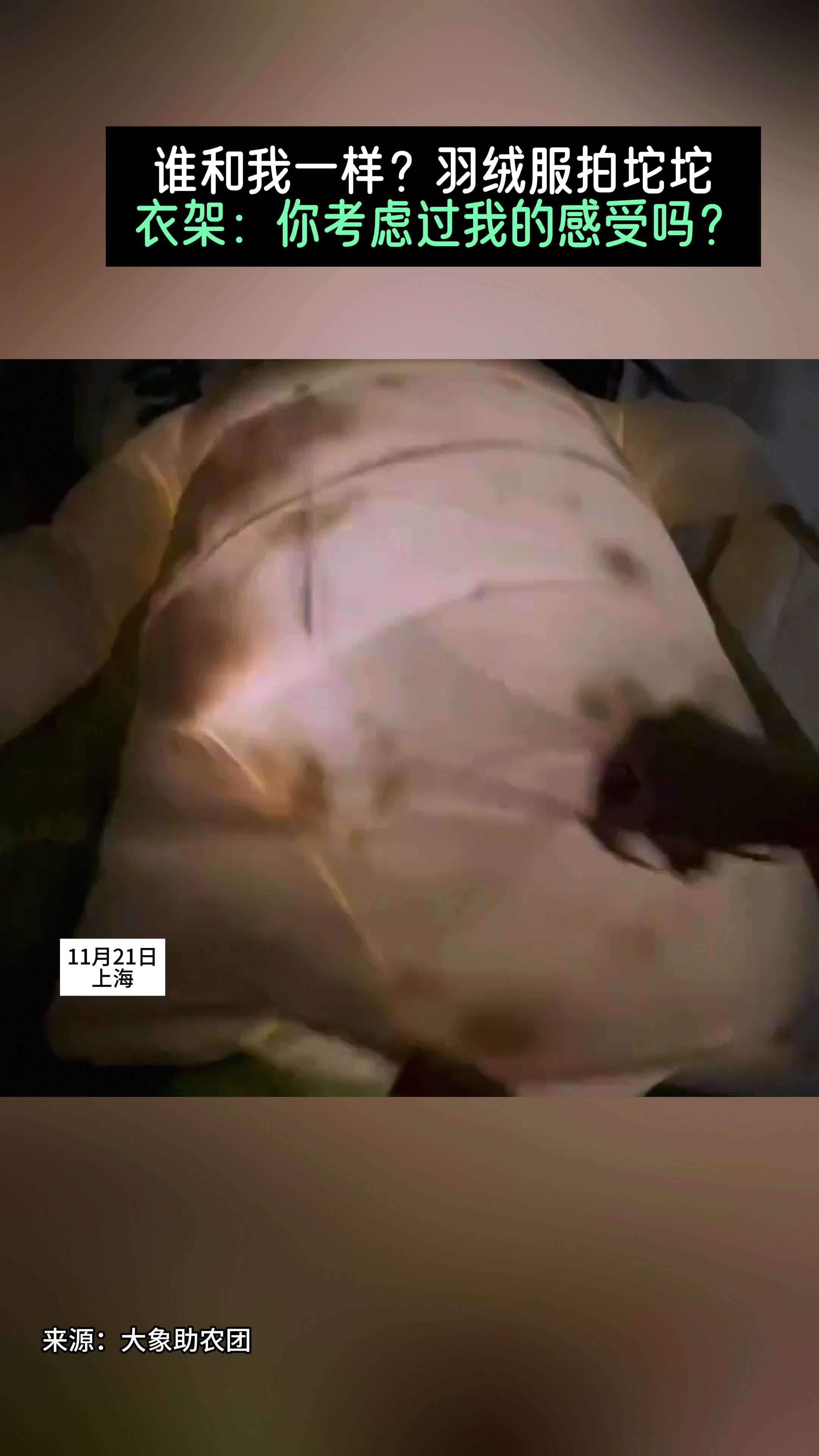 谁和我一样?羽绒服拍坨坨!