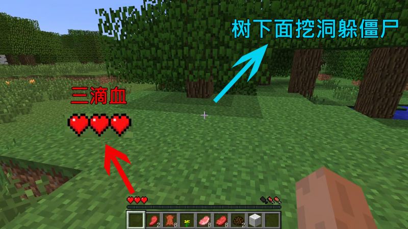 我的世界贝爷极限生存第一期:为了躲避僵尸晚上住在树下