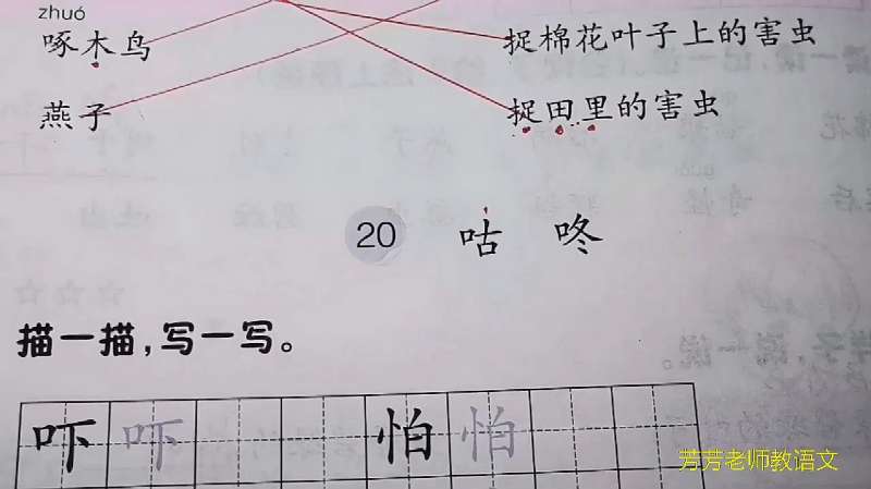 1下语文《咕咚》配套习题讲解:一群动物乱跑,就数野牛最清醒