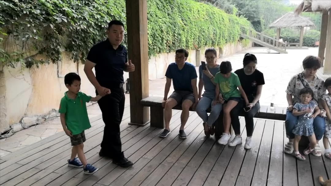 青少年宠物安全