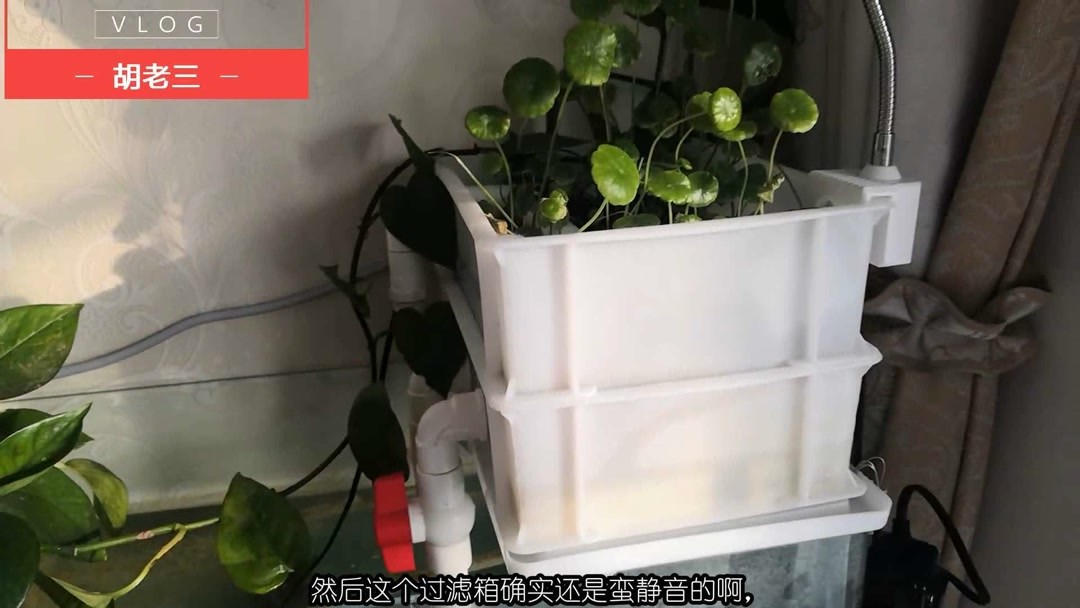 小伙DIY鱼池过滤盒,用周转箱改装的过滤盒,组装简单又实用