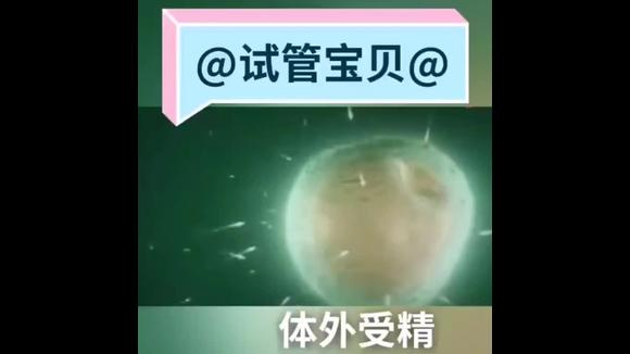 说到试管婴儿,现在“双胞胎试管牛”的技术非常成熟