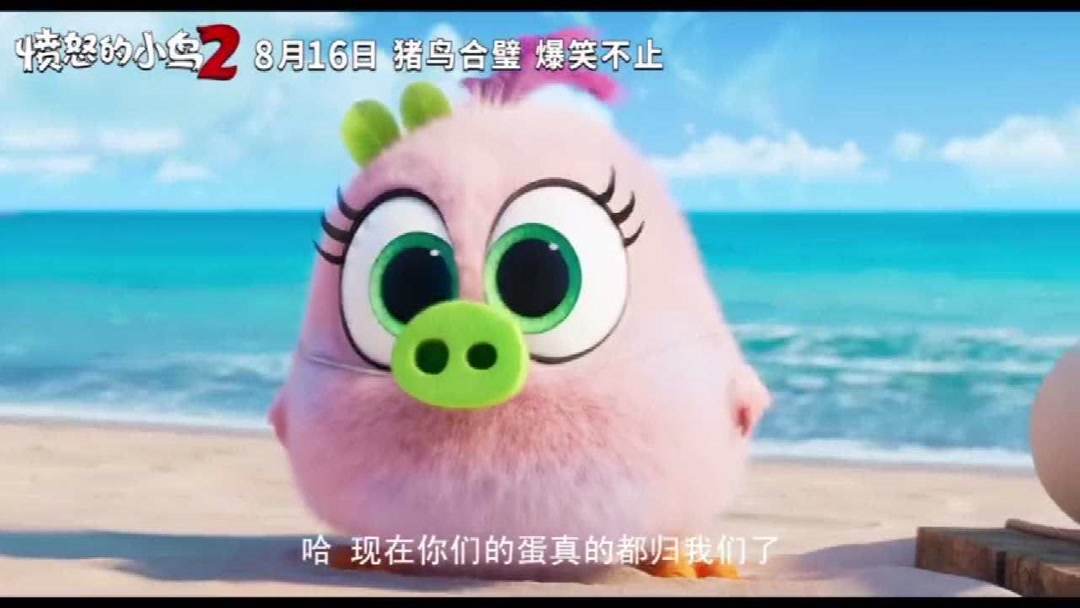 《愤怒的小鸟2》正片片段:三只呆萌小鸟变身戏精,展开夺蛋大戏