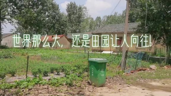 世界那么大,能让心灵栖息的还是故乡#美丽乡村