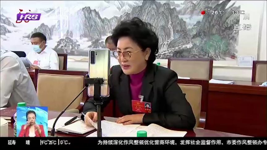 黑龙江代表团举行小组会议审议“两高”工作报告
