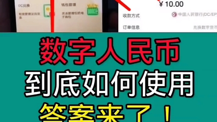 数字人民币到底如何使用?答案来了!