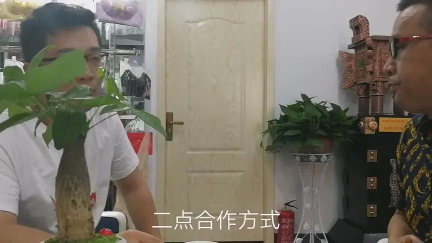 实拍:化妆品厂商和电商传媒公司谈合作,来听听他们的盈利模式