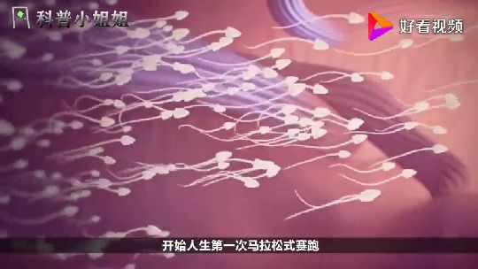 女人是如何完成受孕的?动画演示全面还原,过程实在震撼!#娱乐才是...