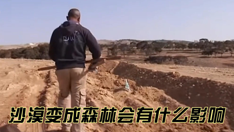 沙漠变成森林会有什么影响