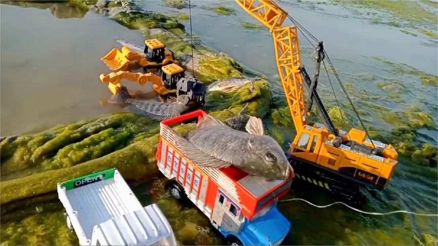 啊呀,工程车赶紧救可怜的鱼儿吧!儿童动画玩具表演益智视频。