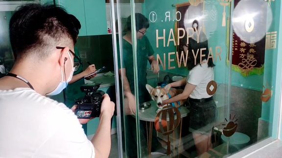 市城管局取景拍宣传片,提倡推广宠物芯片注射,为狗子又做了一件好事!...