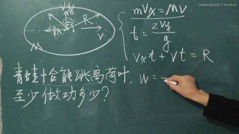 高中物理动量守恒定律趣味题:青蛙跳荷叶