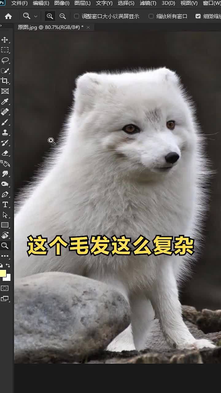 #ps ps一秒抠毛发!~#设计 #ps教程