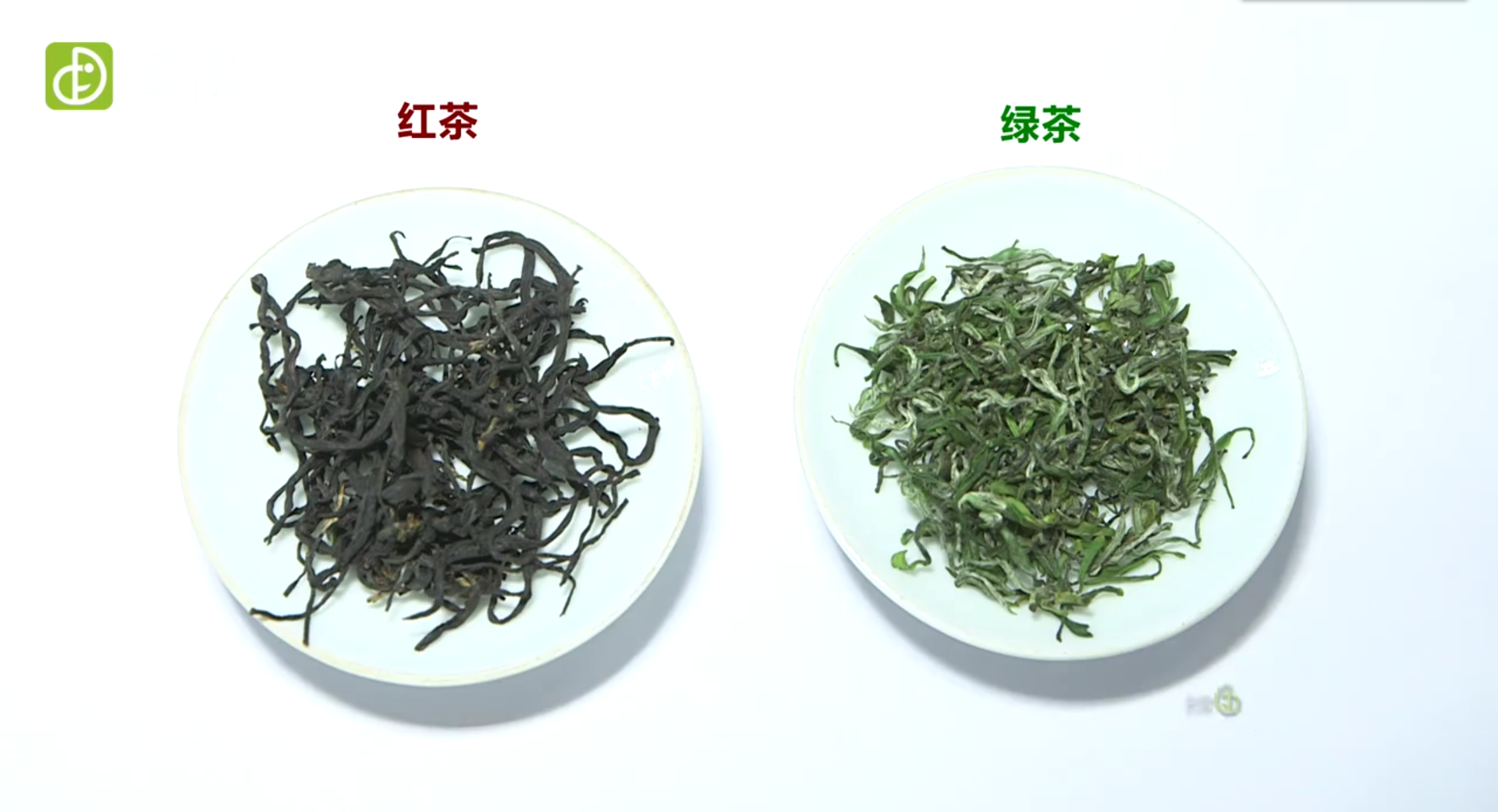 不懂别瞎喝,一文搞懂红茶和绿茶的区别
