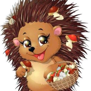 云淡风轻的小日子 