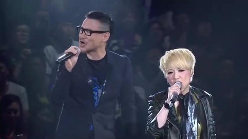 陈慧娴 张学友 合唱《轻抚你的脸》演唱会现场版,非常经典