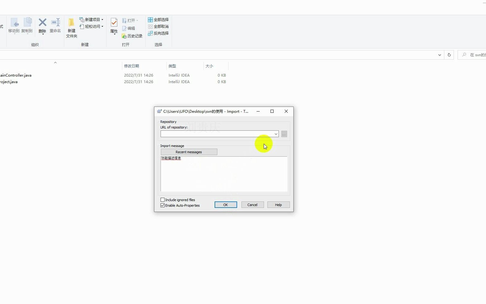 svn的使用《软件编程 从0基础到入门》