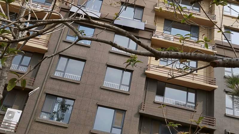 绿化养树要注意前期的营补充和减少营养消耗的措施实施