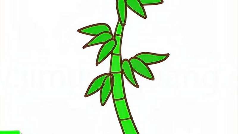 植物简笔画教程,怎样画竹子简笔画