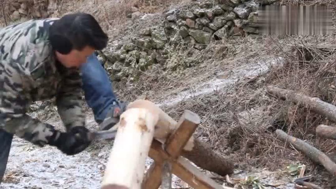 农村小伙不出门打工,刮松树皮种这种中药材,养一家老小