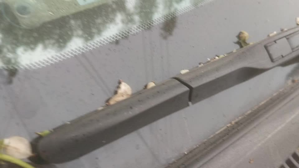 卡罗拉的雨刷器【来自懂车帝车友圈】