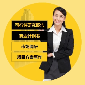 搜奇-可研-计划书-调研 