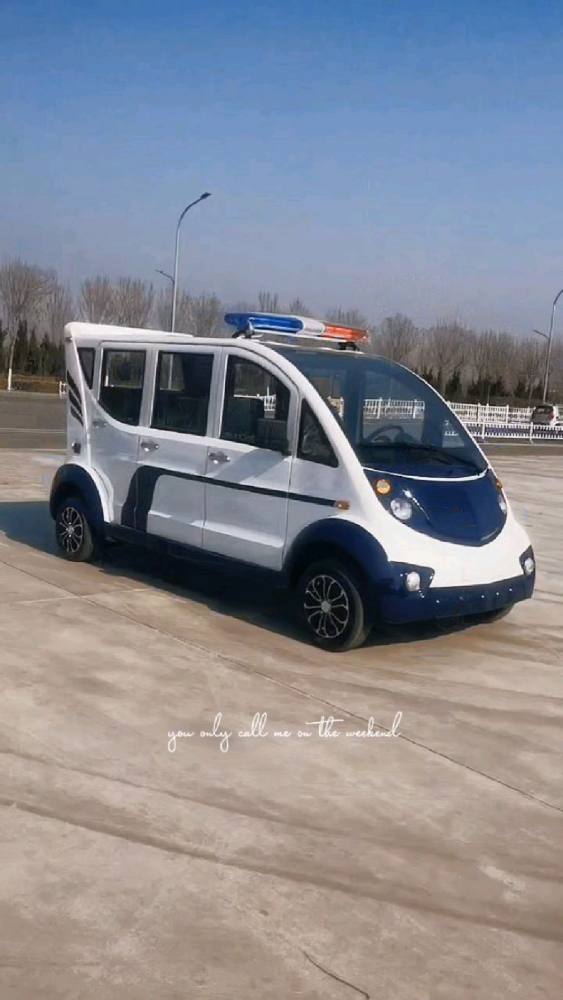 电动巡逻车生产厂家