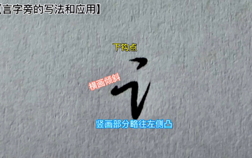 言字旁的写法和应用