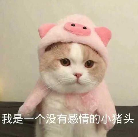 我是你类包被 