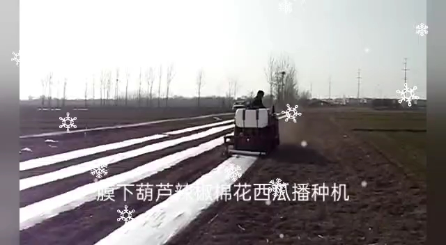 膜下播种机 辣椒 棉花 西瓜播种机铺膜播种施肥滴管一体机