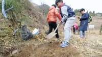 2018植树节视频花絮