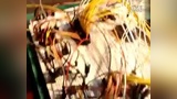 51单片机连接YM3812(OPL2)播放仙剑DOS版背景音乐