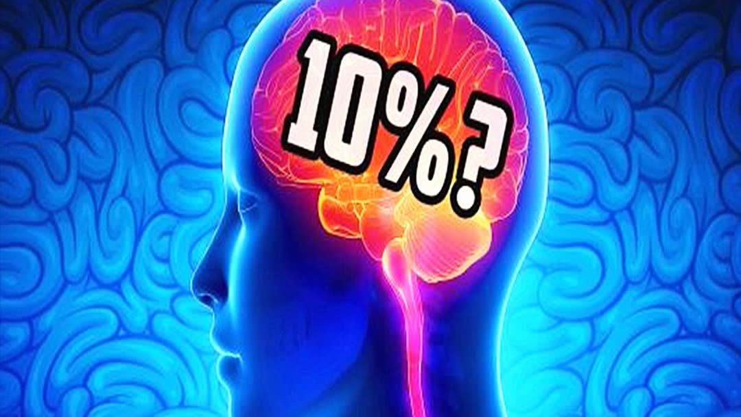 人类已经进化到终点了吗?科学家:人类未来的进化趋势很可怕!