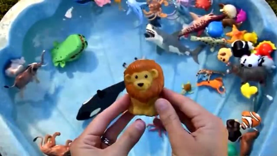 少儿益智玩具野生动物的模型,简直是太可爱了