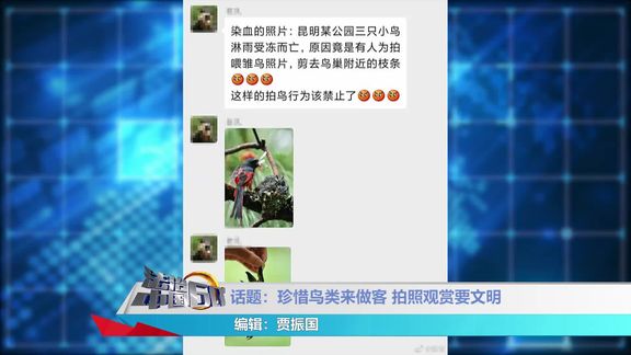 话题:珍惜鸟类来做客,拍照观赏要文明