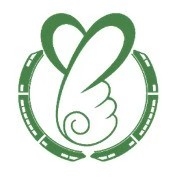 乡村教师技术直通车 