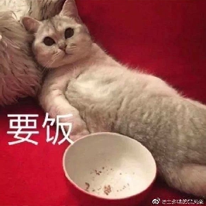 指看动漫 