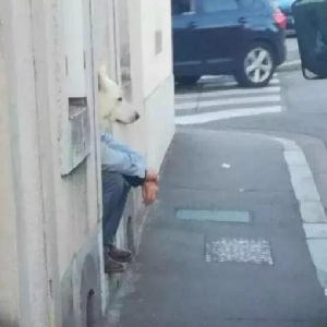 饭团の自由 
