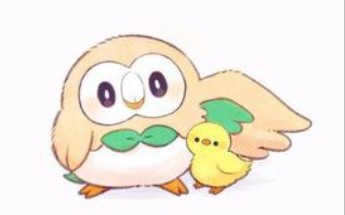 怎么会有木木枭这么圆的宝可梦