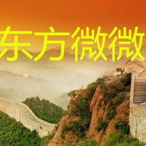 东方微微 