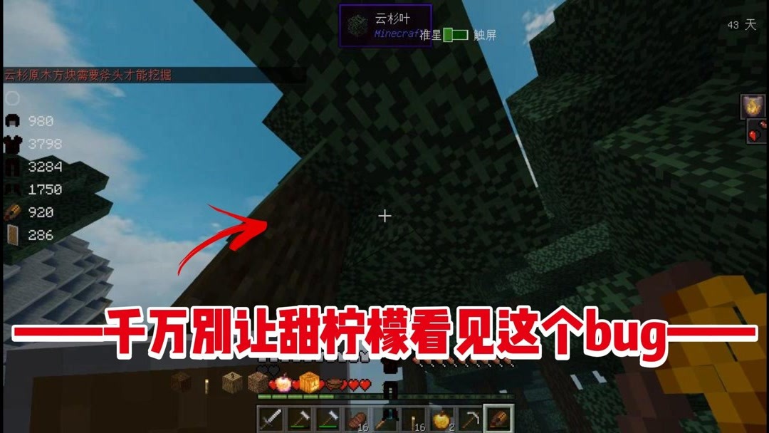 我的世界贝爷生存32:千万别让甜柠檬看见这个bug