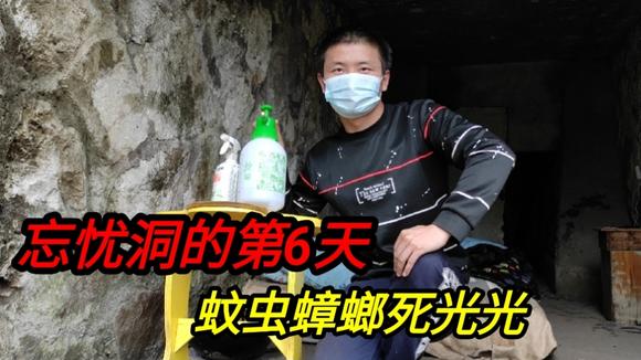 忘忧洞的第6天,花35元买了喷壶、杀虫剂还有消毒液,害虫死光光