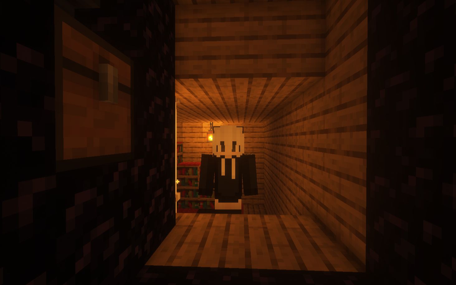 超级简单又实用的隐藏电梯【我的世界】