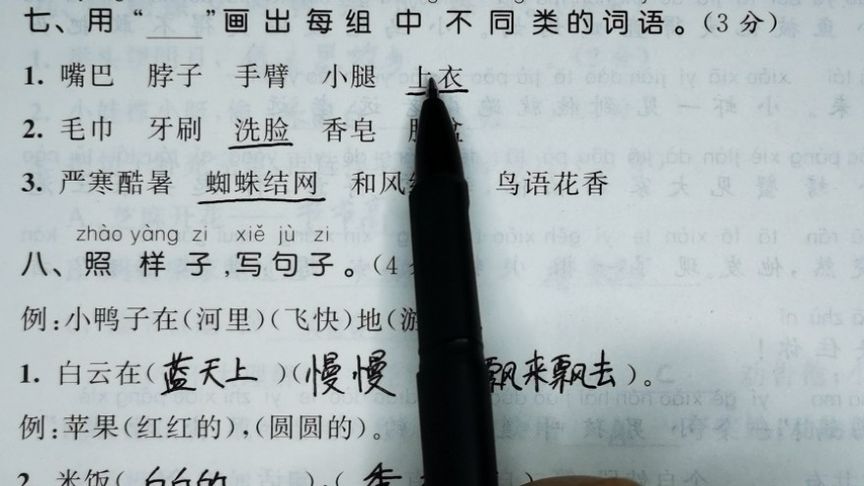 一年级语文下册习题,照样子写句子,根据课文内容填写恰当的词语